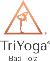 Feigen-Walnuss-Energy Balls - TriYoga Center Bad Tölz